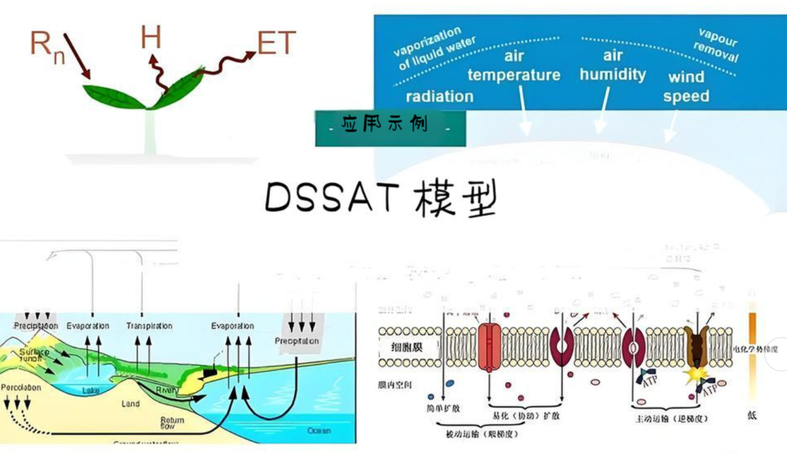人工智能算法对DSSAT模型进行优化和改进 - 灌溉大师
